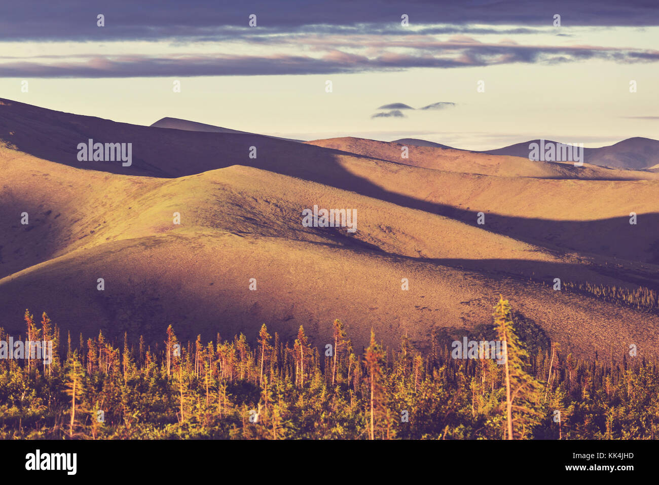 Tundra landscapes above Arctic circle Stock Photo - Alamy