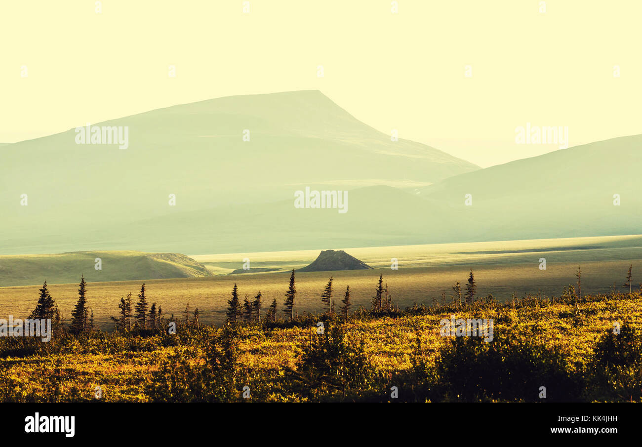 Tundra landscapes above Arctic circle Stock Photo - Alamy