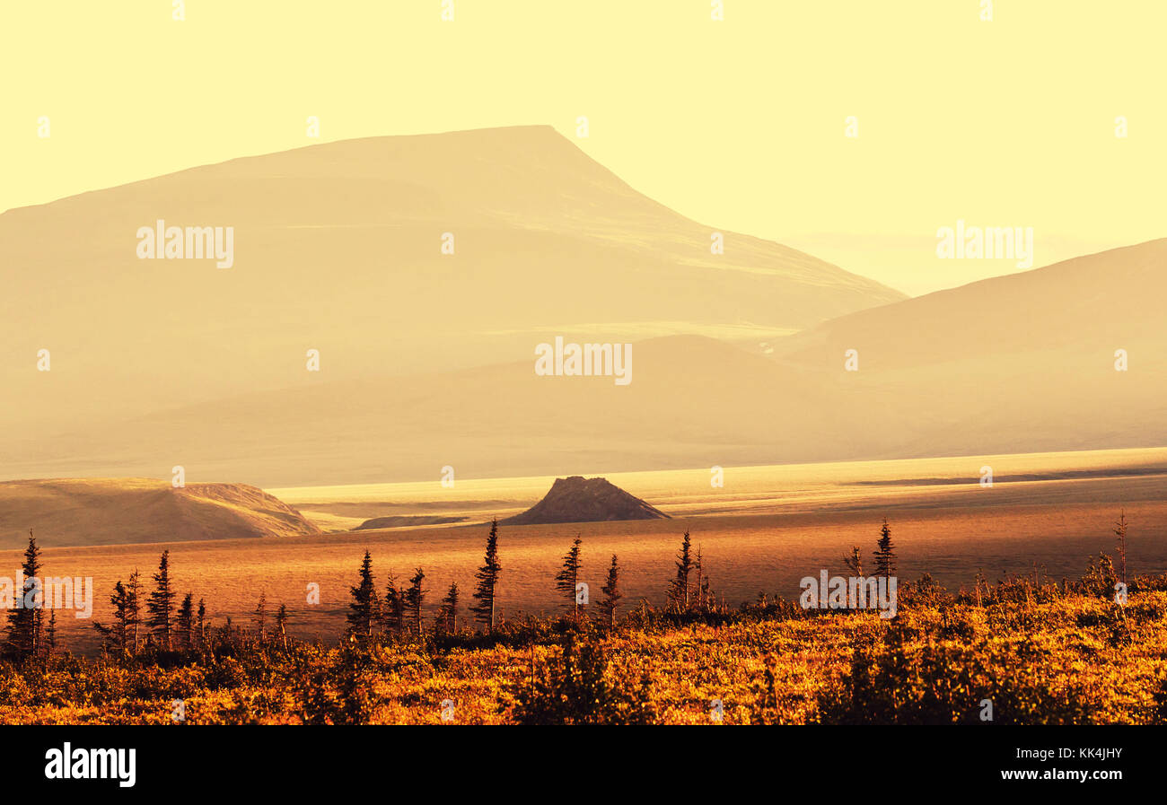 Tundra landscapes above Arctic circle Stock Photo - Alamy