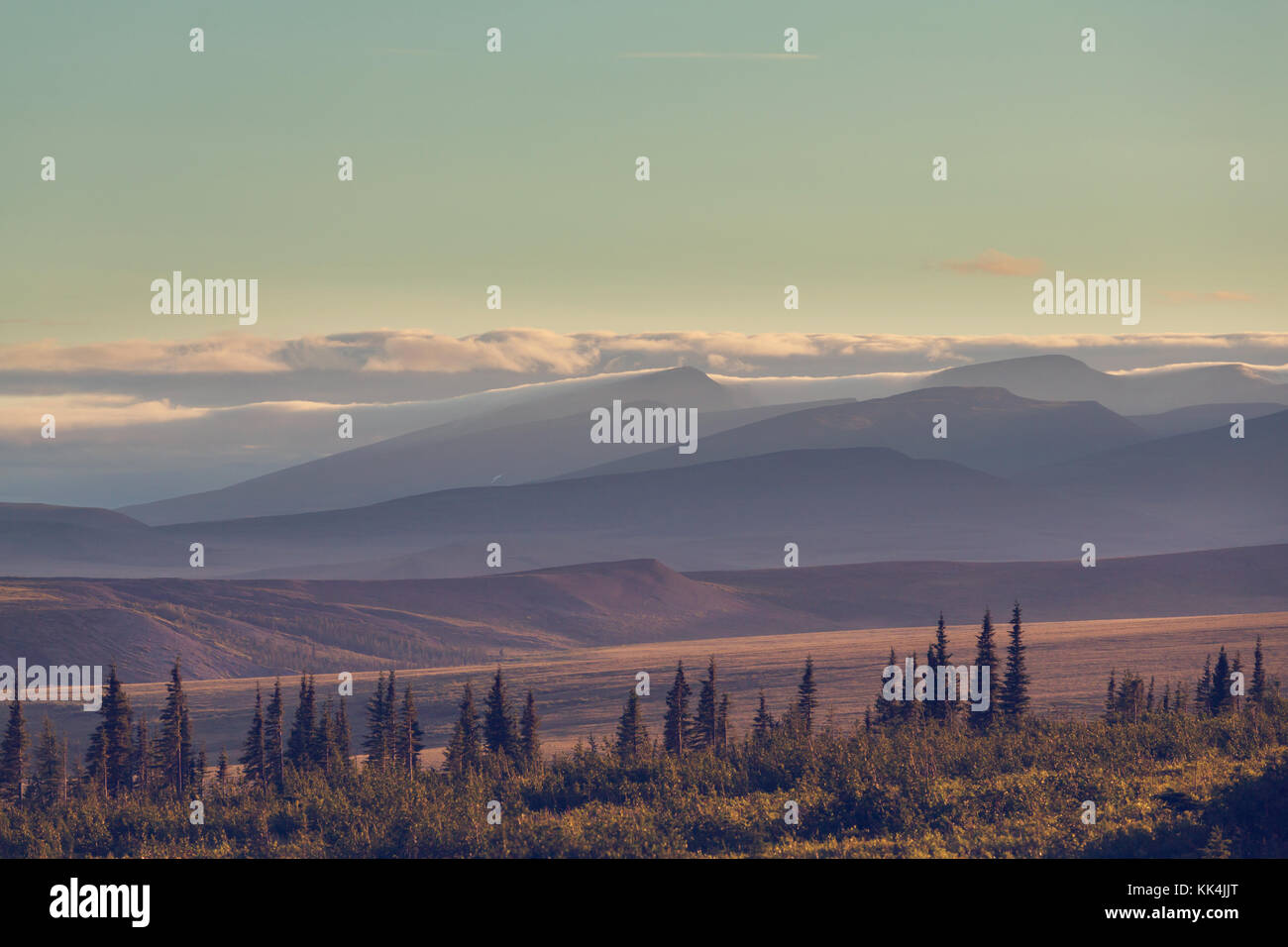 Tundra landscapes above Arctic circle Stock Photo - Alamy