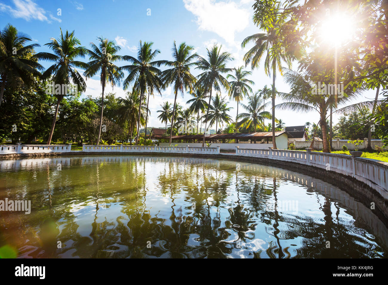 Pool in tropical garden Stock Photo - Alamy
