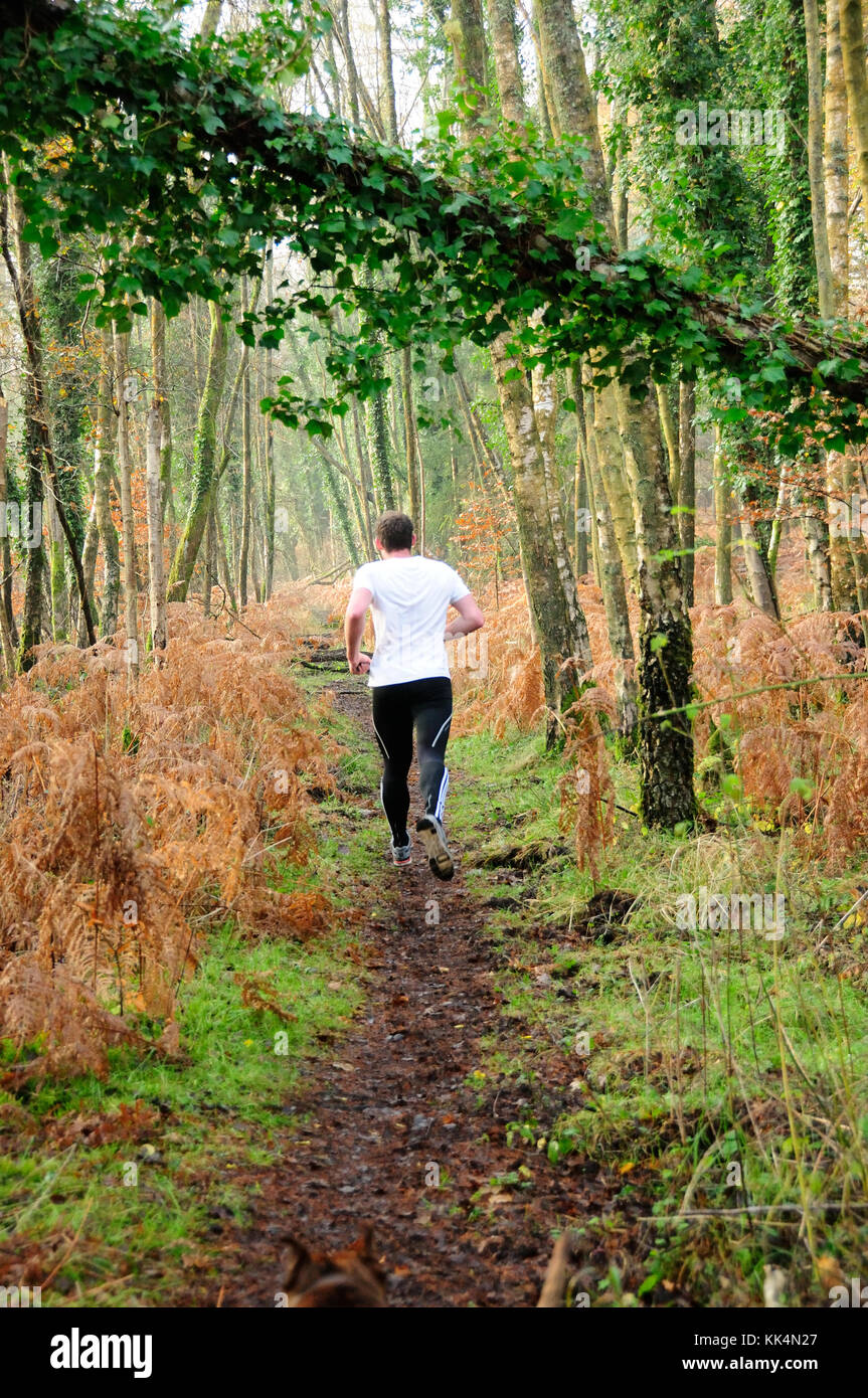 Runner in the woods Stock Photo - Alamy