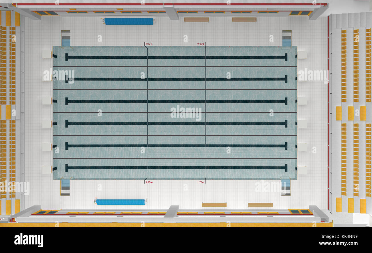 Olympic Swimming Pool 3d