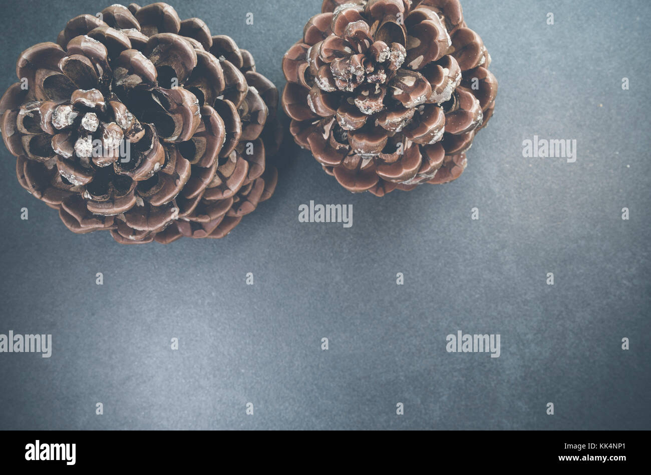 Pine cone hi-res stock photography and images - Alamy