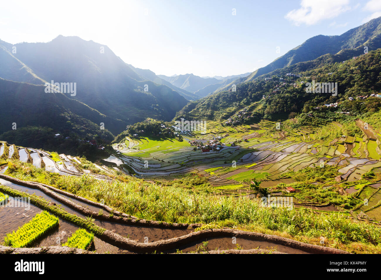 Beautiful Green Rice terraces in the Philippines. . Rice cultivation in ...