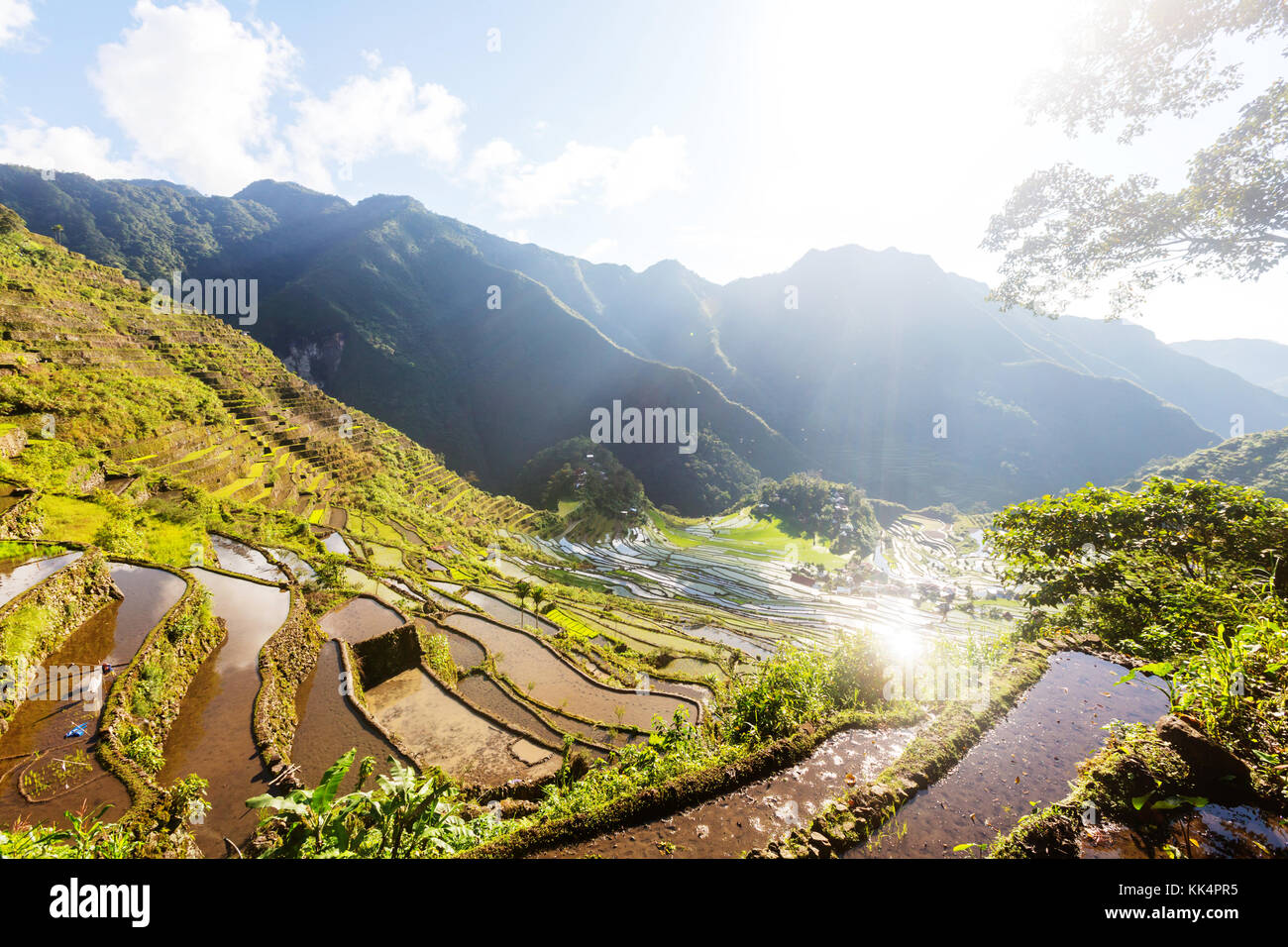 Beautiful Green Rice terraces in the Philippines. Rice cultivation in ...