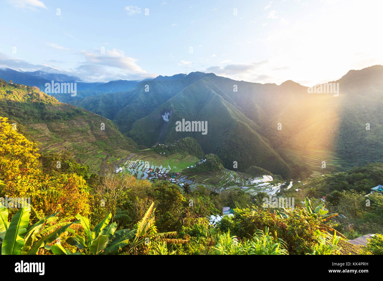 Beautiful Green Rice terraces in the Philippines. Rice cultivation in ...