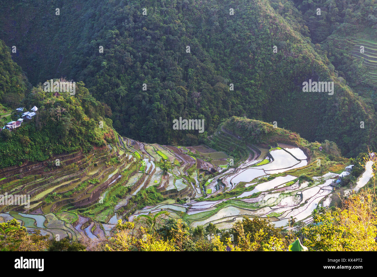 Beautiful Green Rice terraces in the Philippines. Rice cultivation in ...