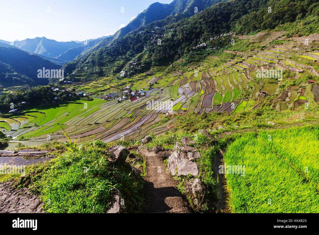 Beautiful Green Rice terraces in the Philippines. Rice cultivation in ...