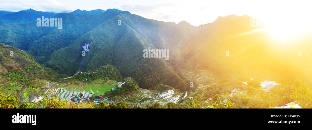 Beautiful Green Rice terraces in the Philippines. Rice cultivation in ...