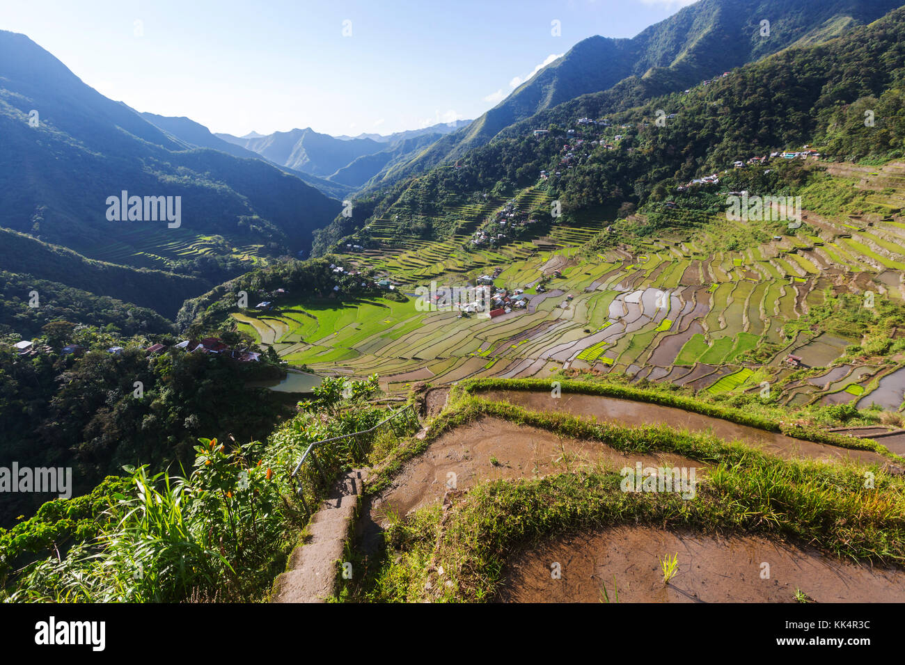 Beautiful Green Rice terraces in the Philippines. Rice cultivation in ...