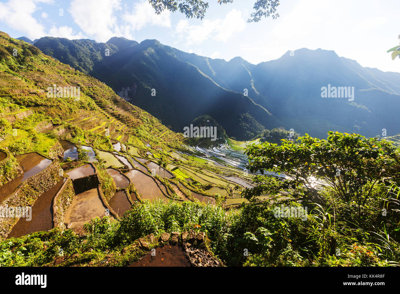 Beautiful Green Rice terraces in the Philippines. Rice cultivation in ...