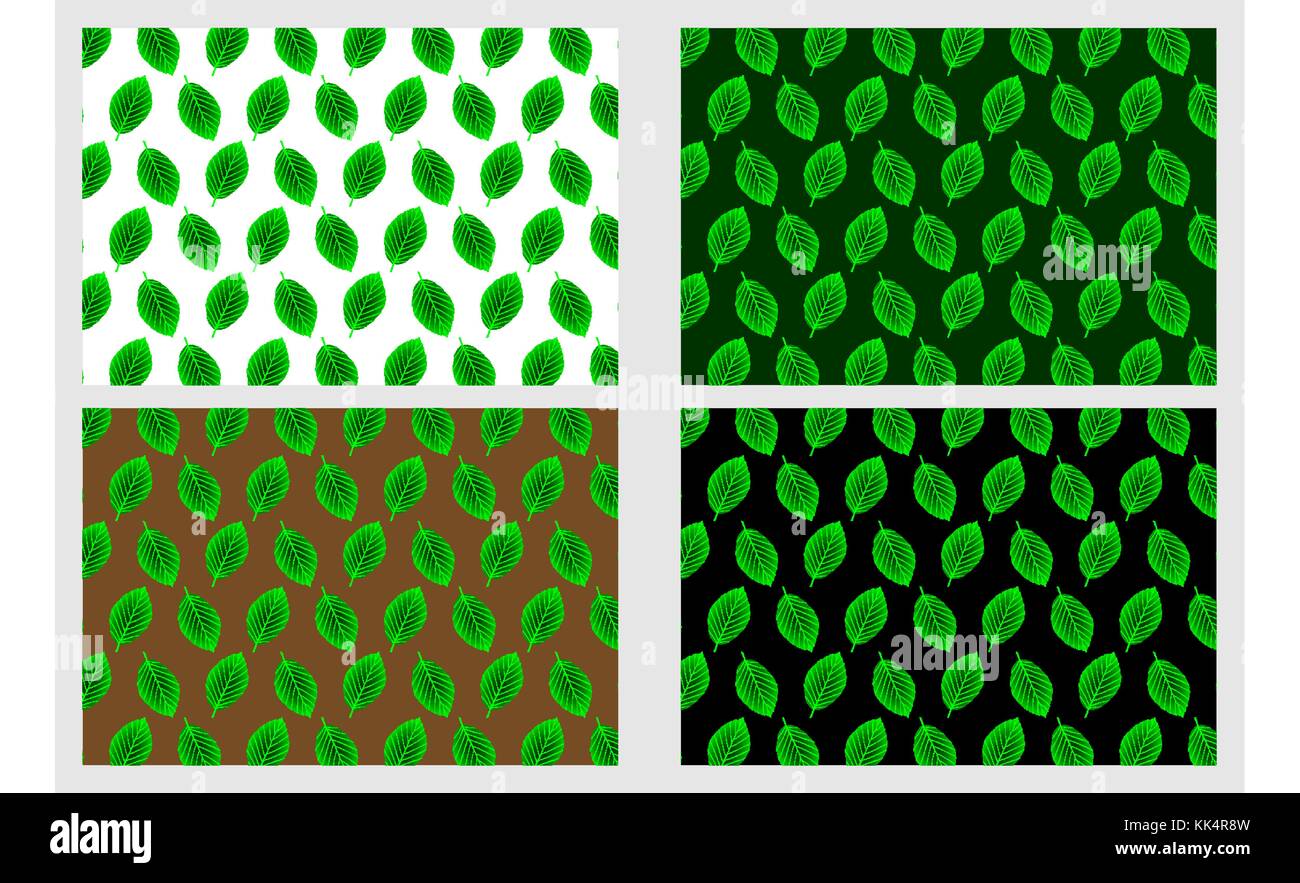 Beech leaf - vector pattern - set , (Fagus sylvatica Stock Vector Image ...