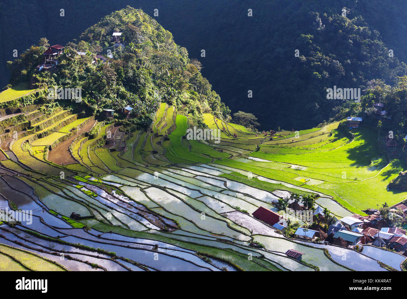 Beautiful Green Rice terraces in the Philippines. Rice cultivation in ...