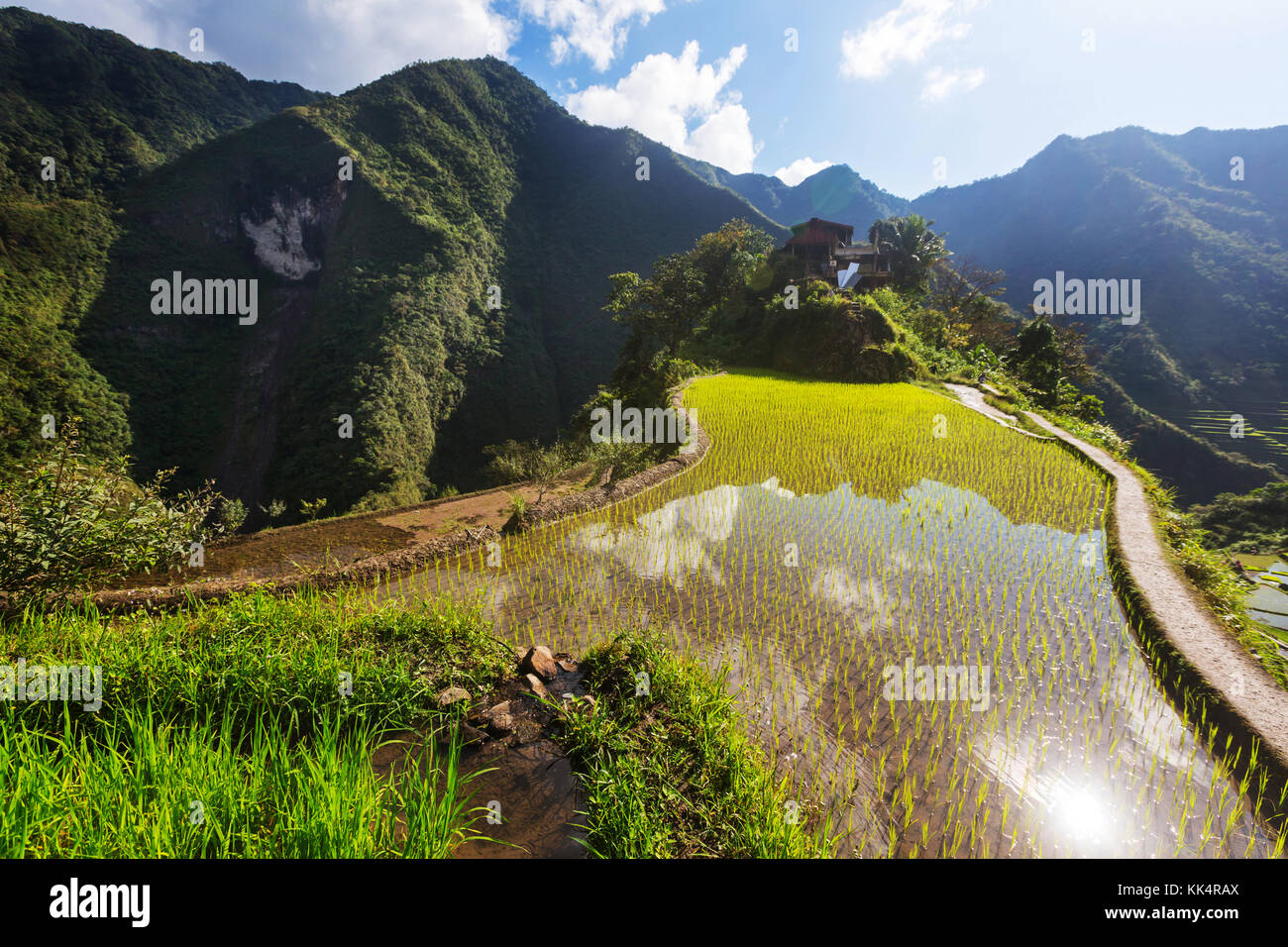 Beautiful Green Rice terraces in the Philippines. Rice cultivation in ...