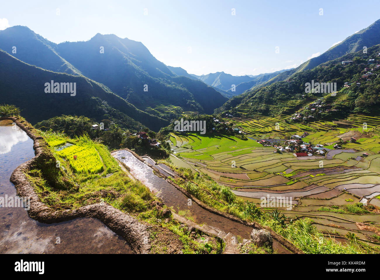 Beautiful Green Rice terraces in the Philippines. Rice cultivation in ...