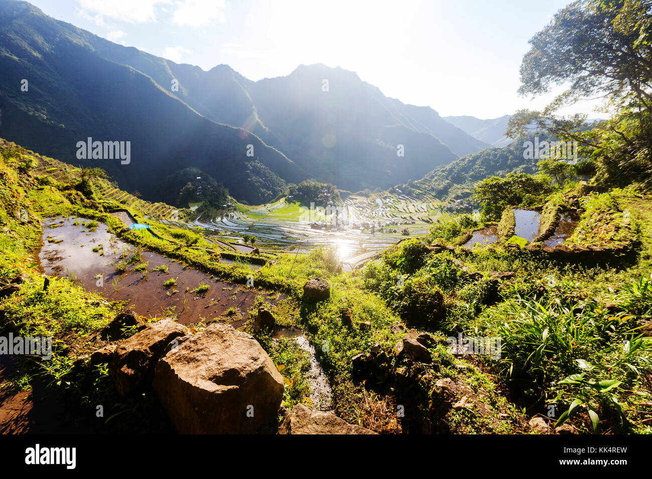 Beautiful Green Rice terraces in the Philippines. Rice cultivation in ...