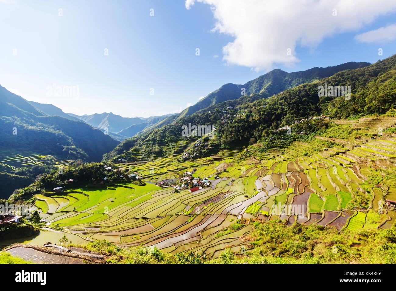 Beautiful Green Rice terraces in the Philippines. Rice cultivation in ...