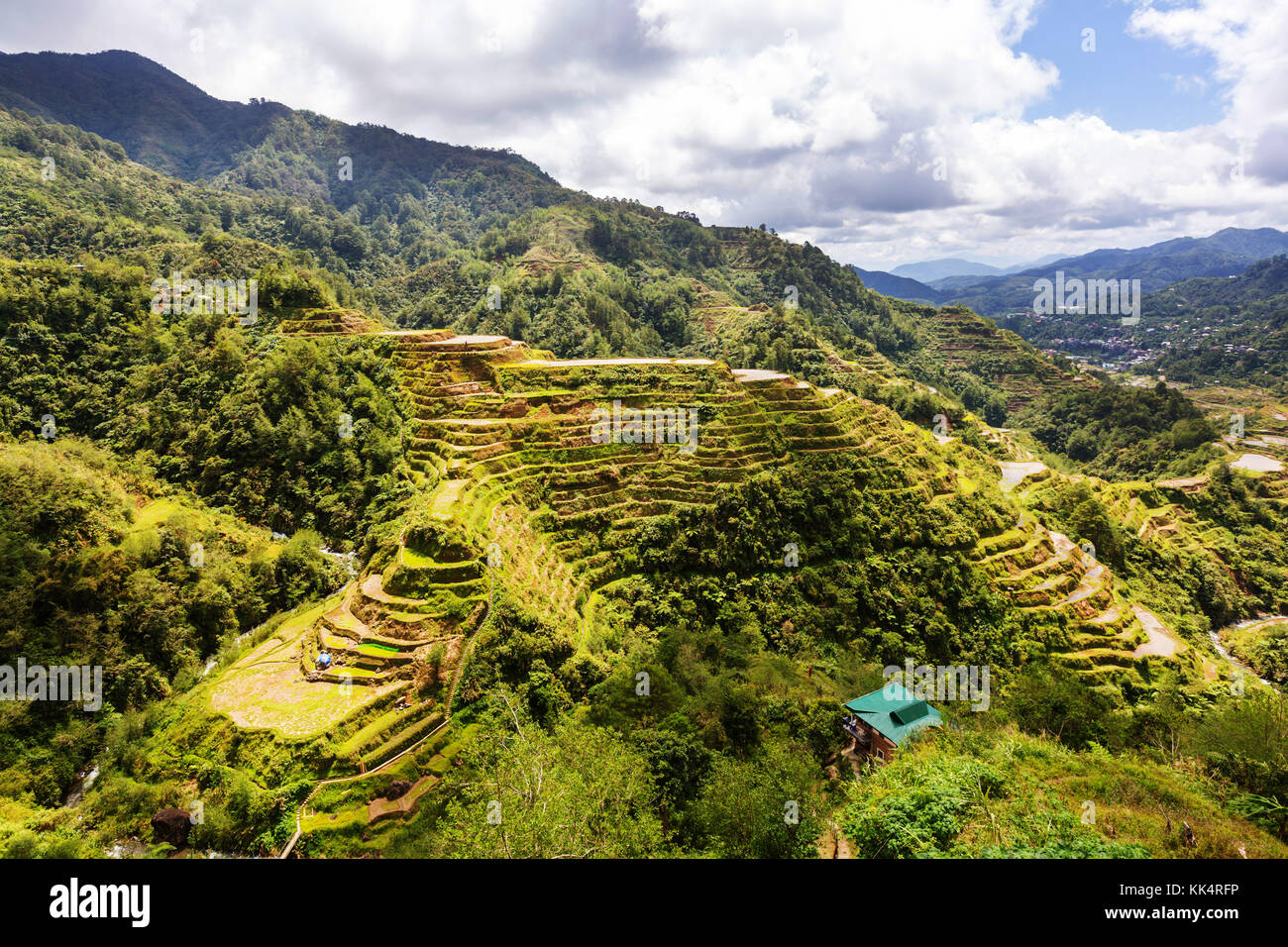 Beautiful Green Rice terraces in the Philippines. Rice cultivation in ...
