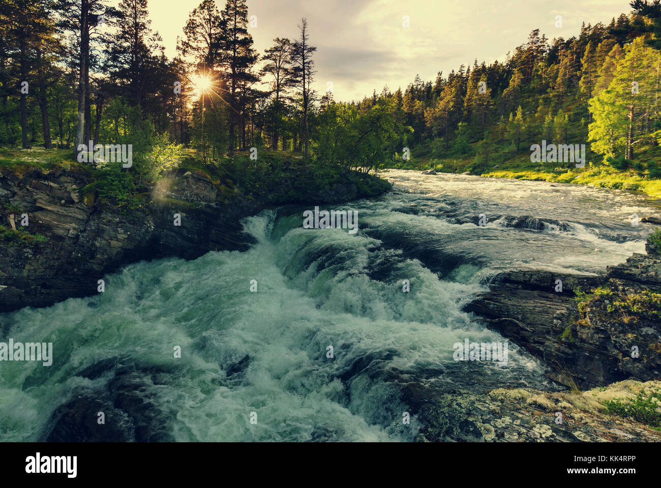 Rough mountain river in Norway Stock Photo - Alamy