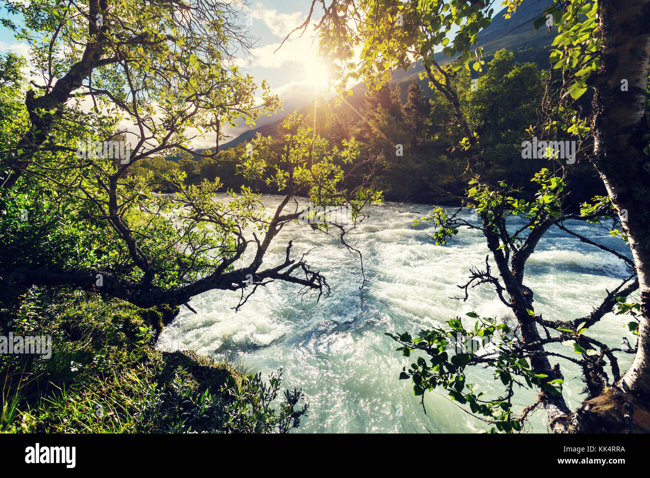River in Norway Stock Photo - Alamy