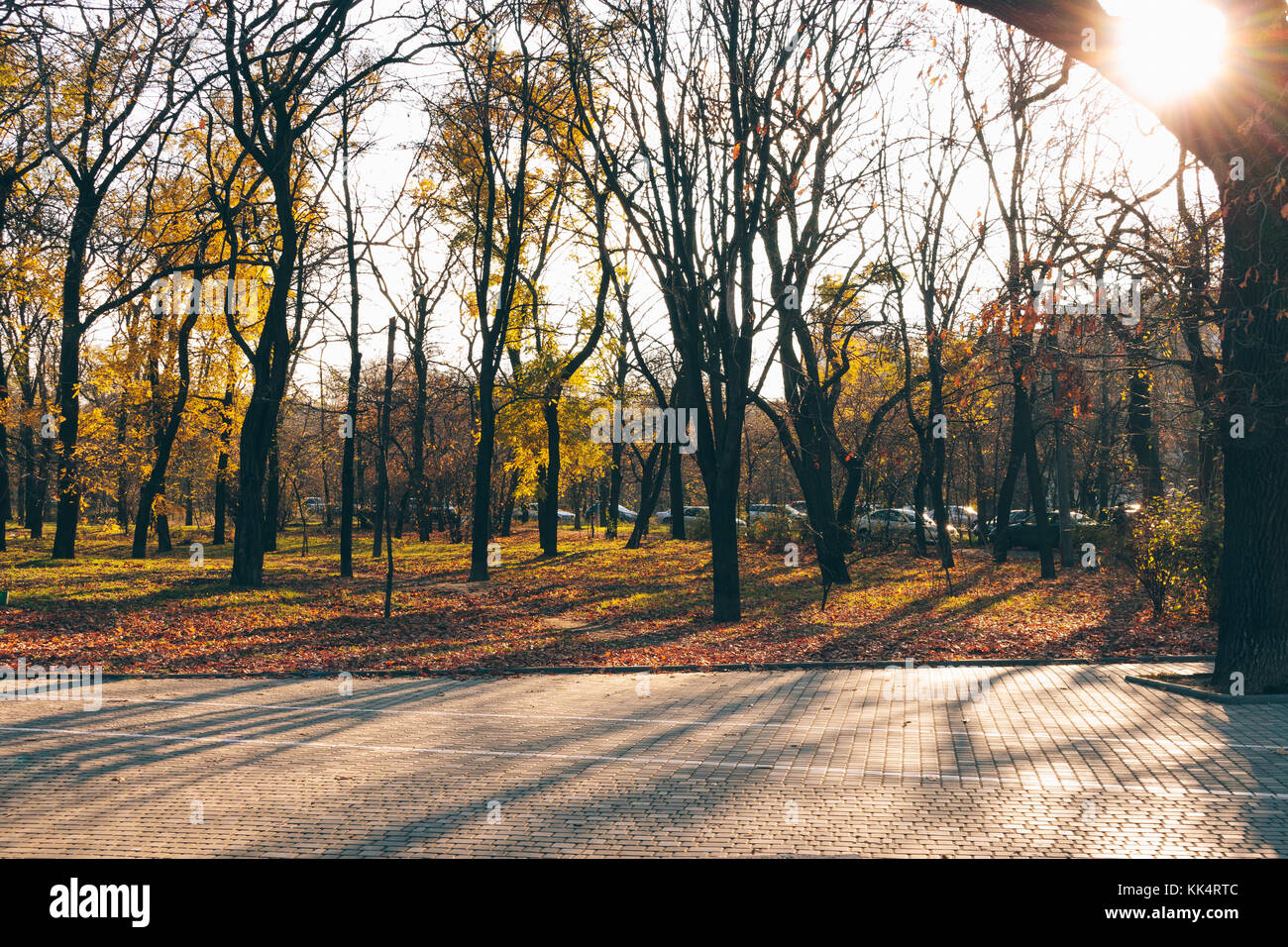 Bright sun sunn hi-res stock photography and images - Alamy