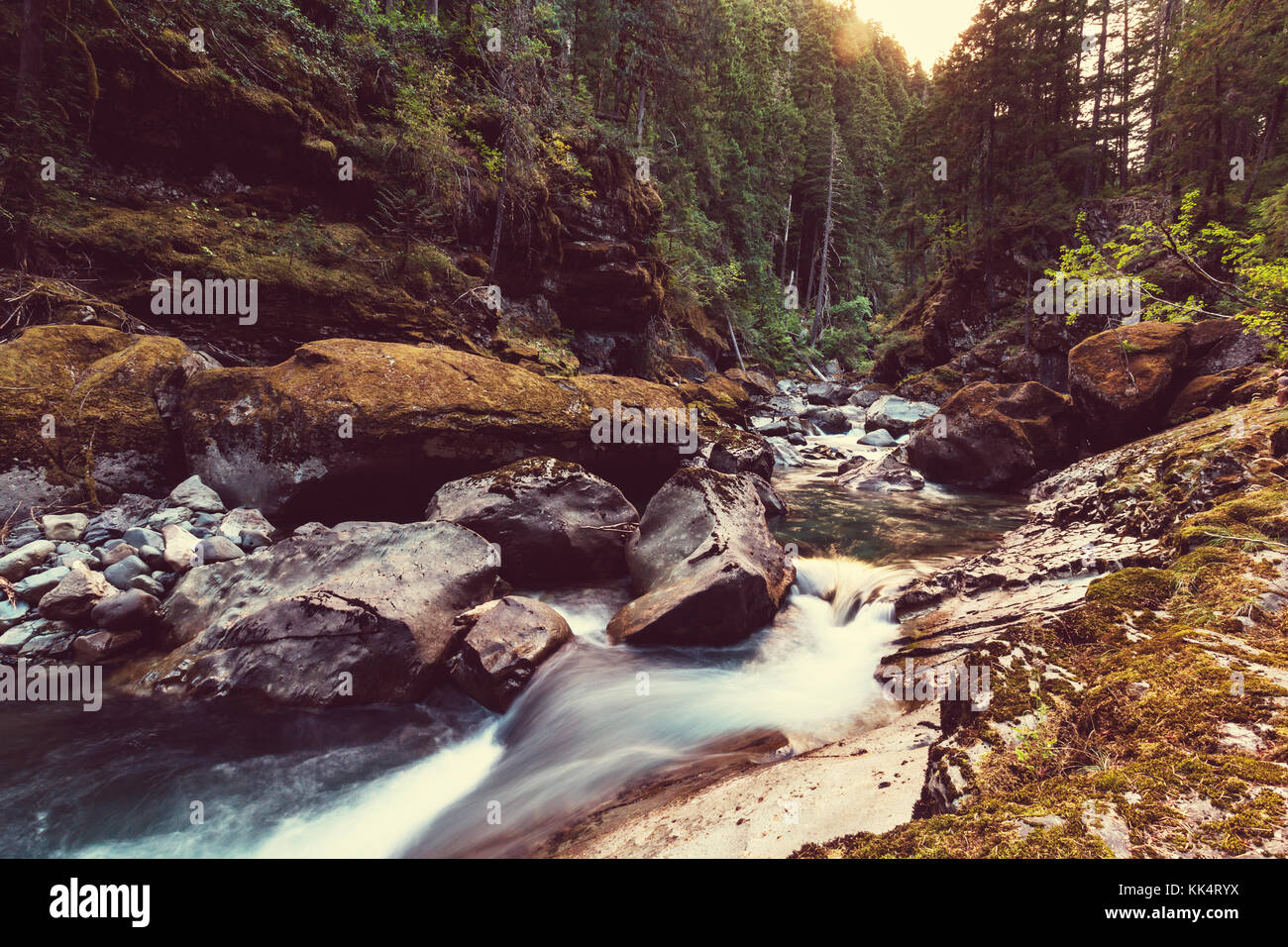 Small river water drive hi-res stock photography and images - Alamy