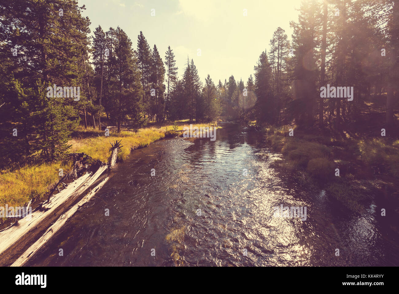 Beautiful small river and canyon in forest Stock Photo - Alamy