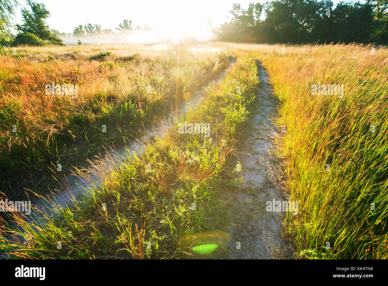 Farm road in the meadows Stock Photo - Alamy