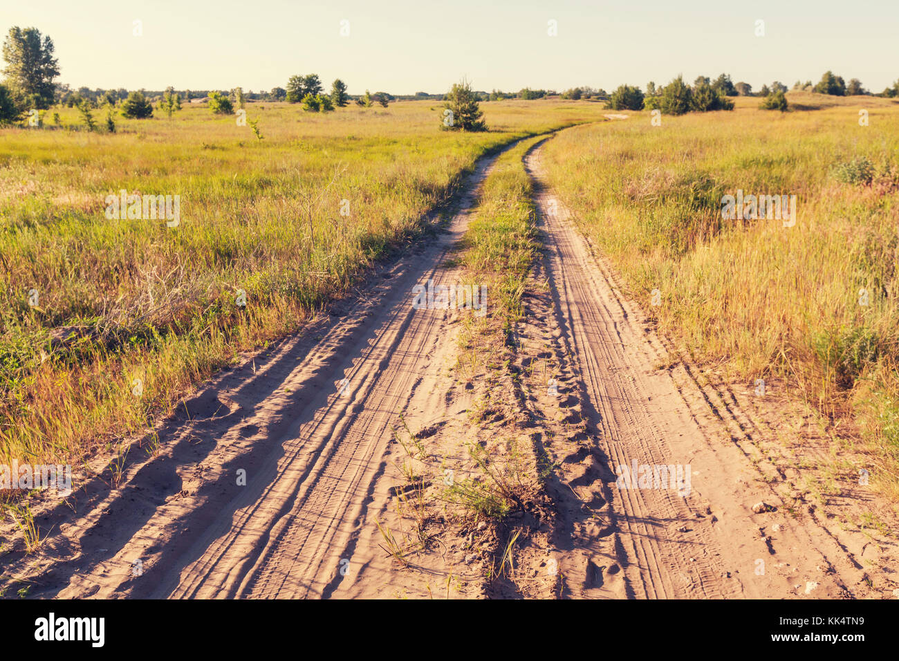 Farm road in the meadows Stock Photo - Alamy