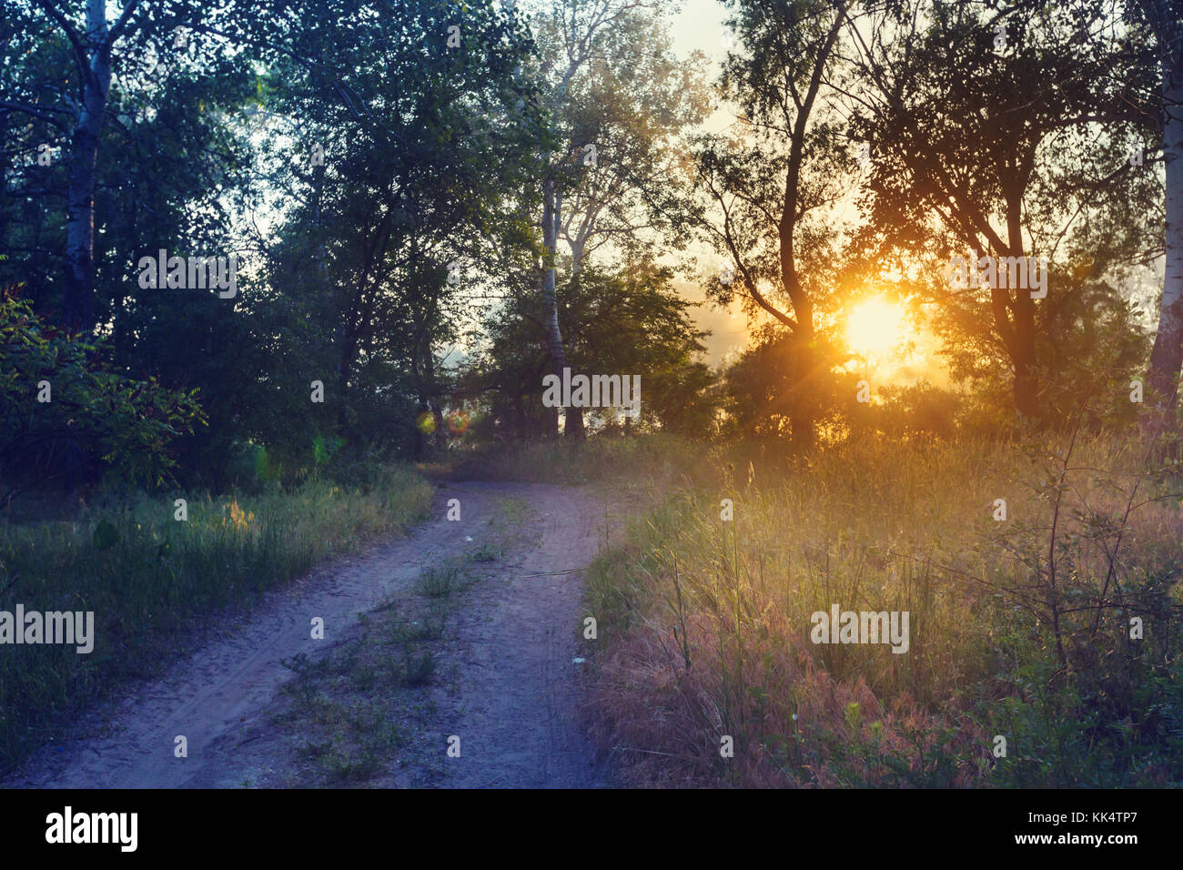 Farm road in the meadows Stock Photo - Alamy