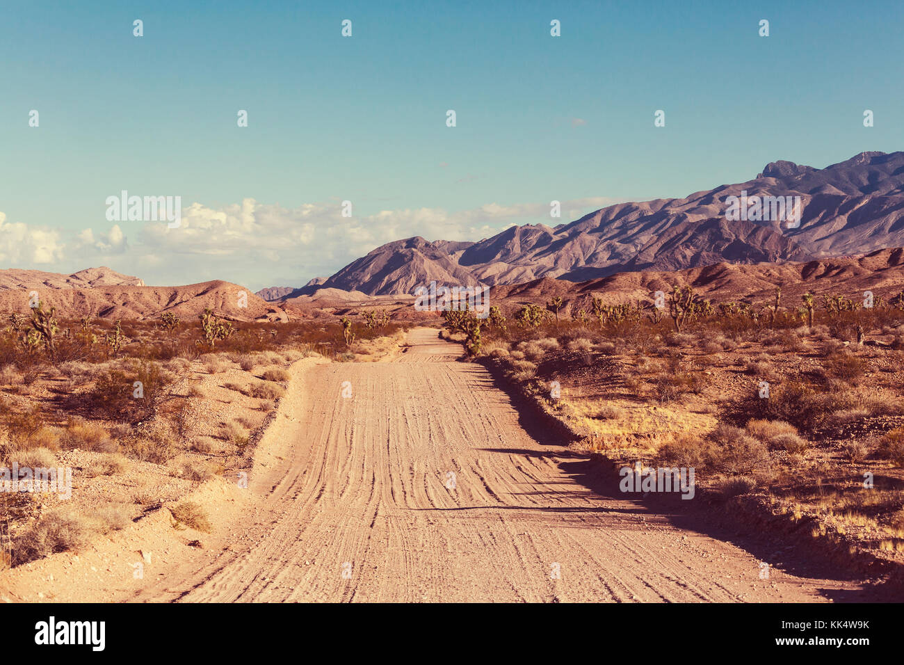 Road in the prairie country Stock Photo - Alamy