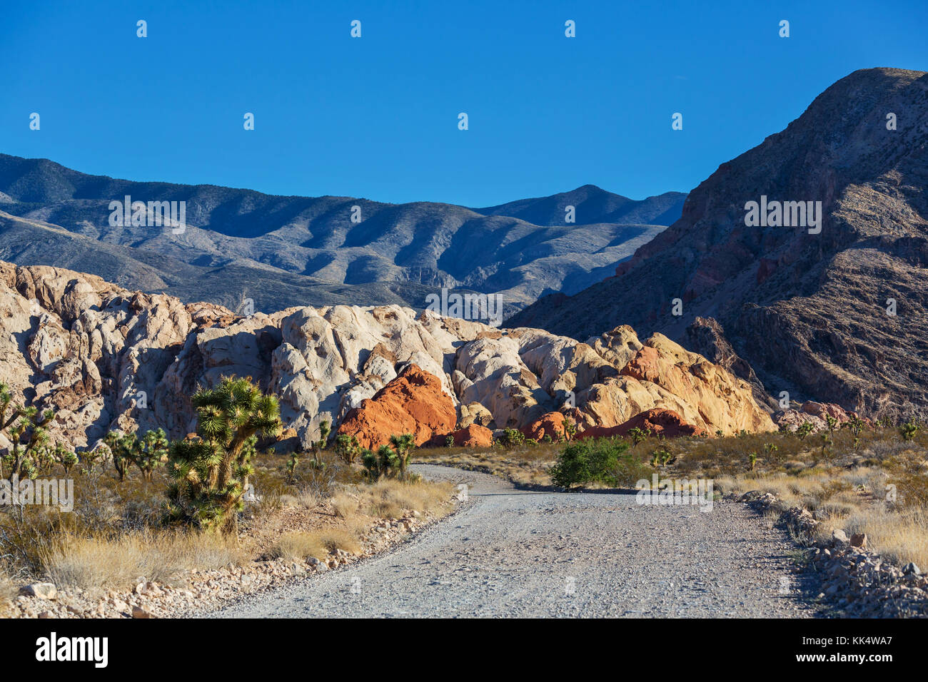 Road in the prairie country Stock Photo - Alamy