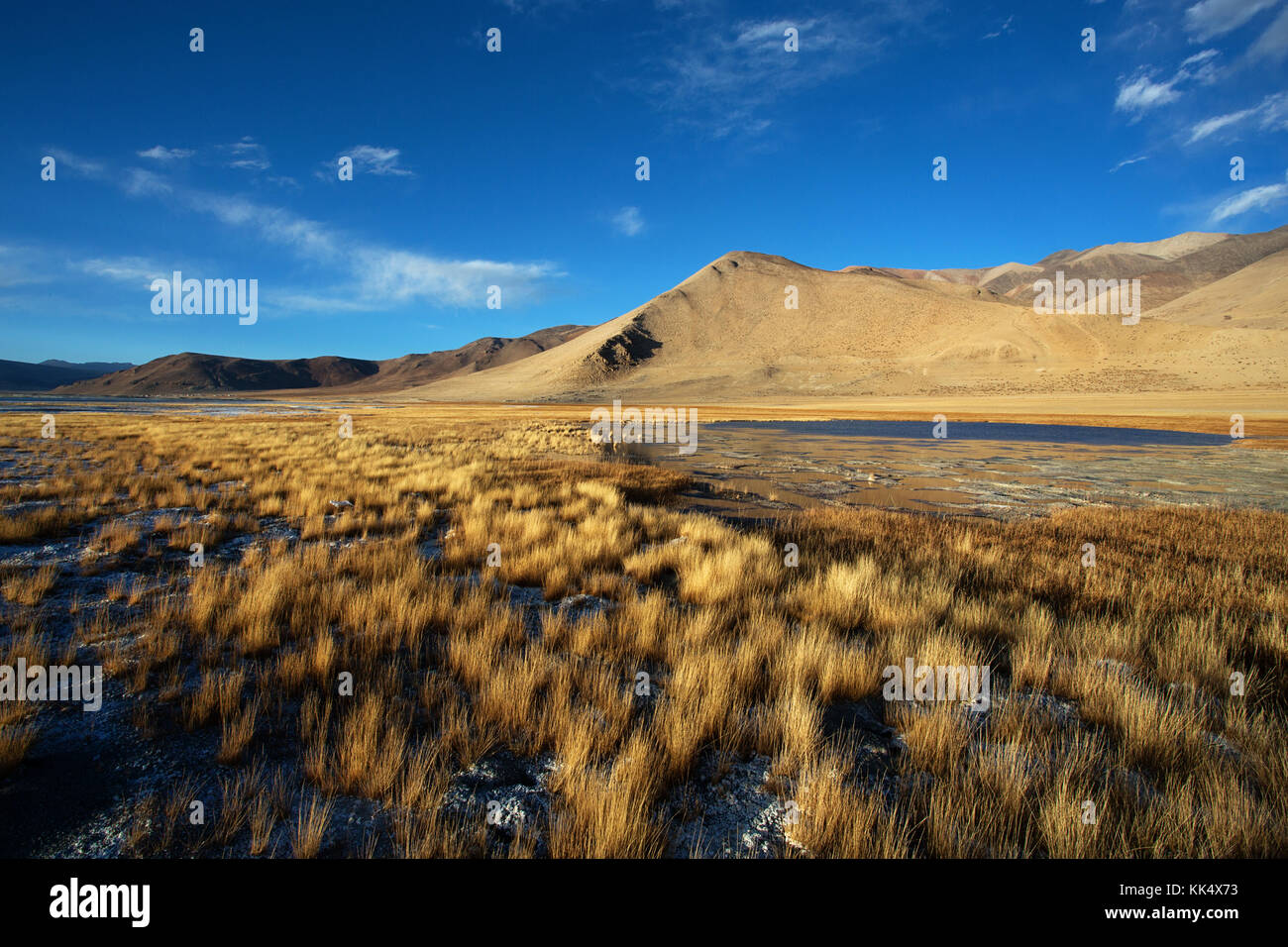 Barren lndscape at Tso Kar lake, Ladakh, Jammu and Kashmir, India Stock ...
