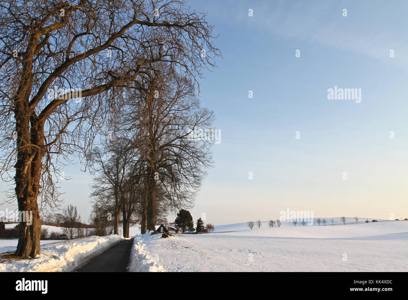 Path in the snow in winter in Denmark Stock Photo - Alamy