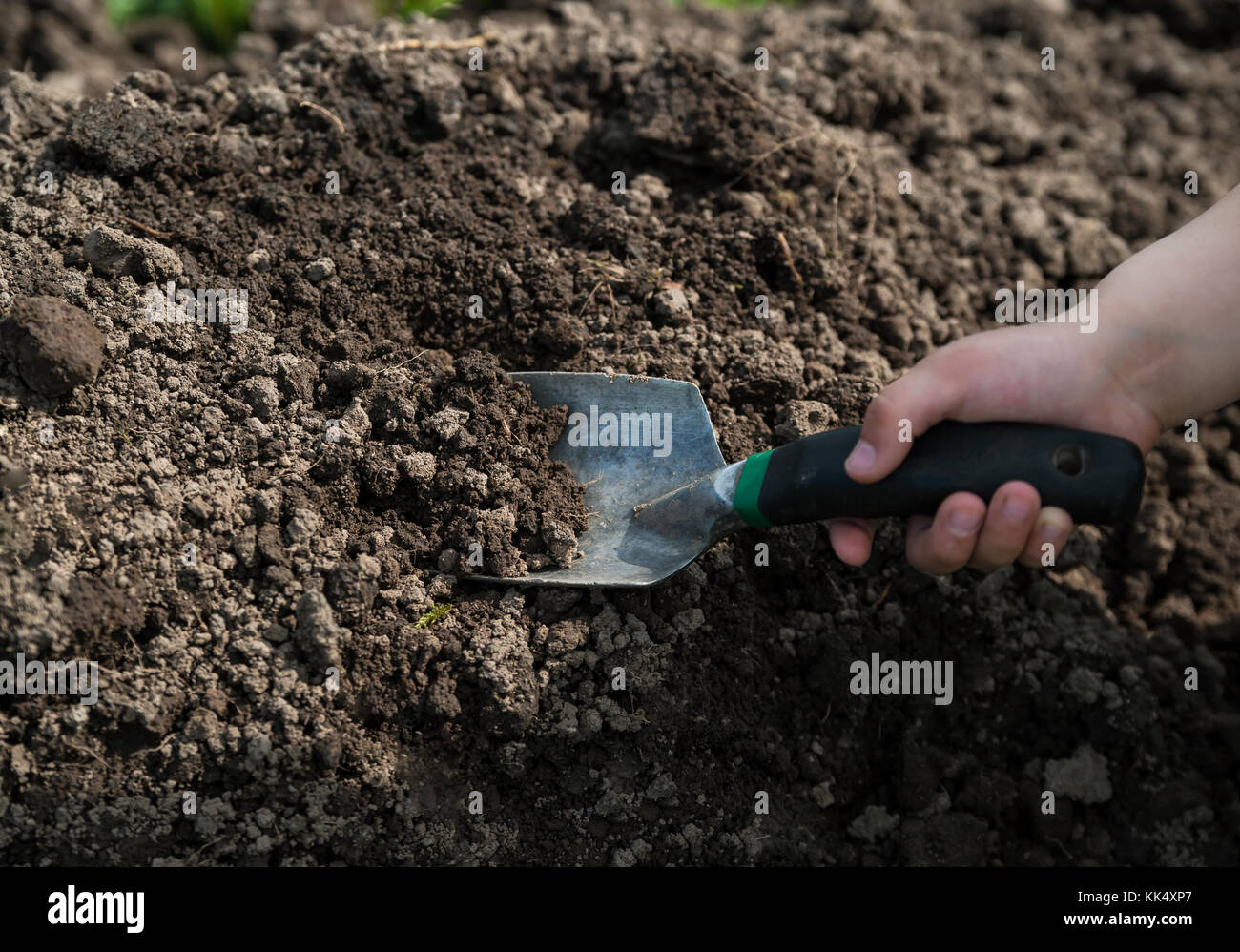 Hand of child using a shovel digging ground Stock Photo - Alamy