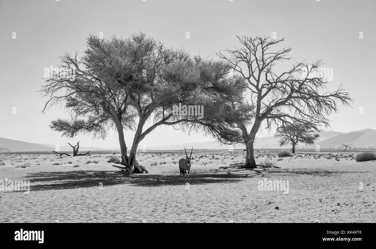 Shelter from sun on Black and White Stock Photos & Images - Alamy