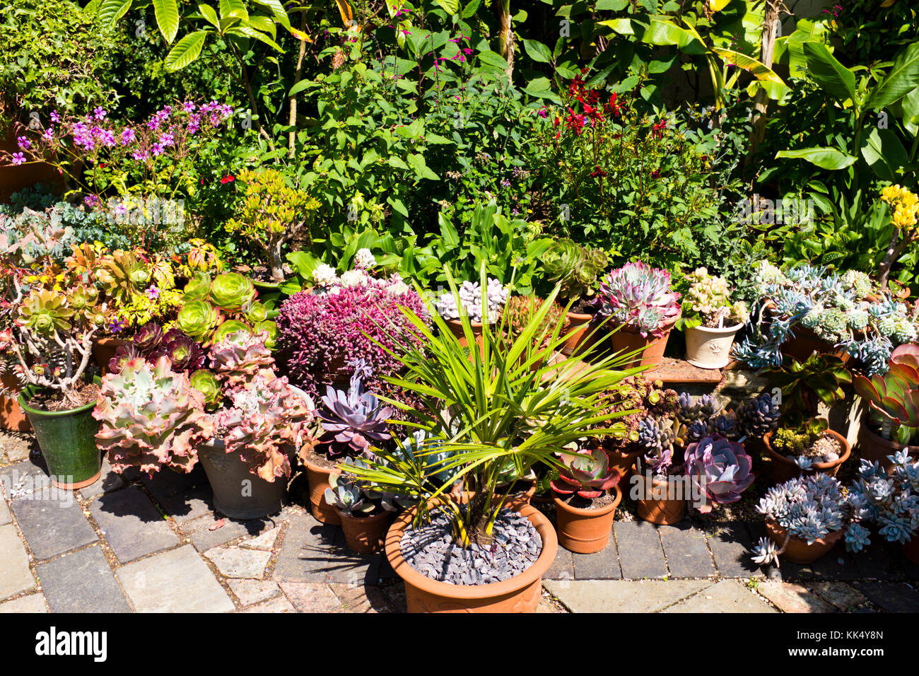 Ceramics,Pottery,Potting,Tubs,Clay,Whichford Pottery,Warwickshire,Uk ...