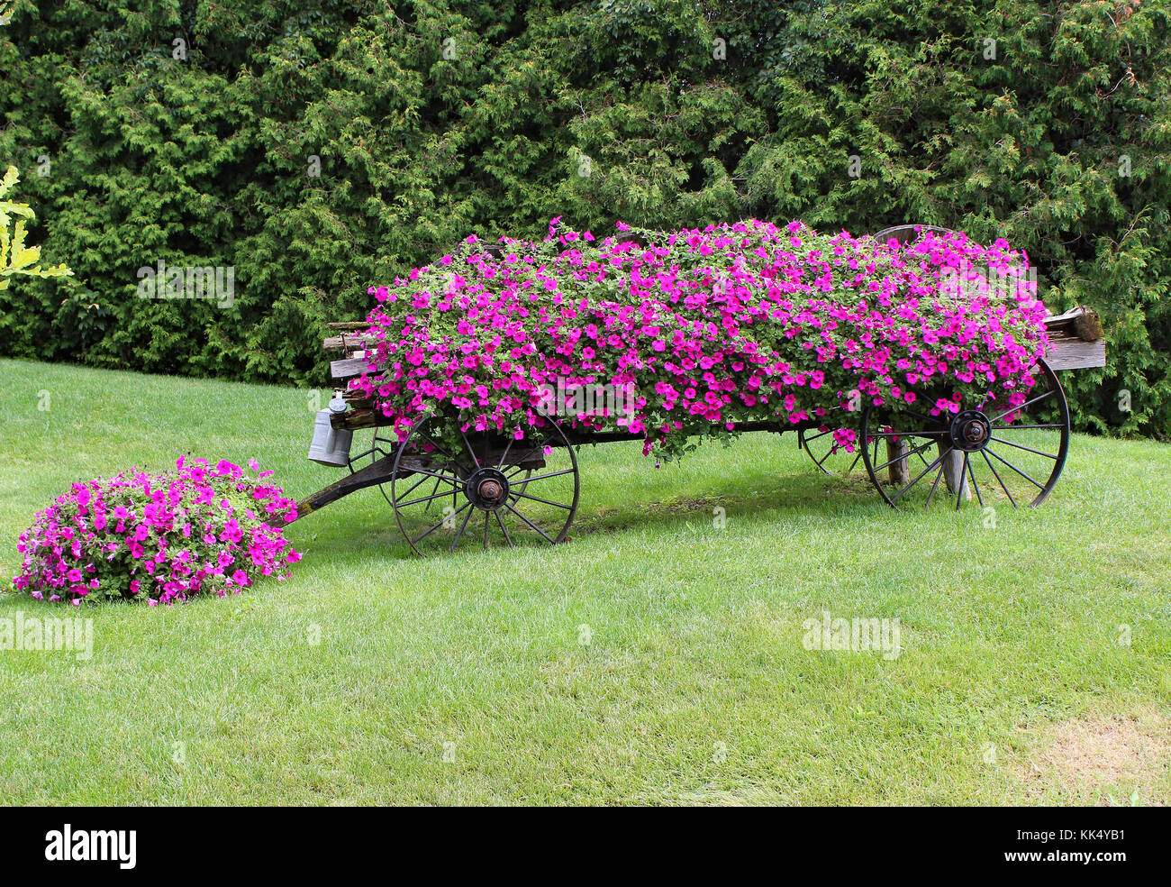 Flower cart hi-res stock photography and images - Alamy