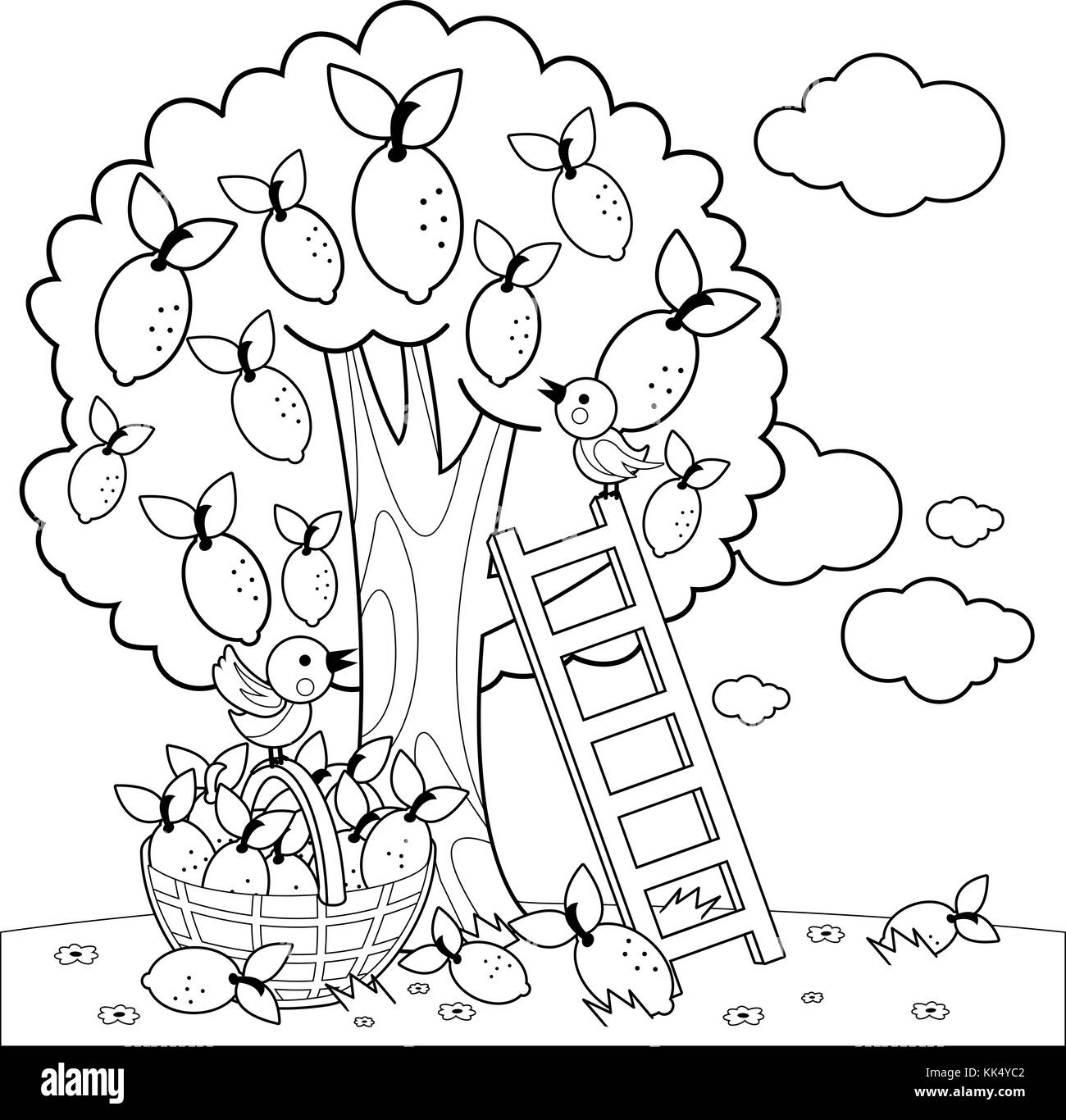 Lemons coloring Stock Vector Images - Alamy