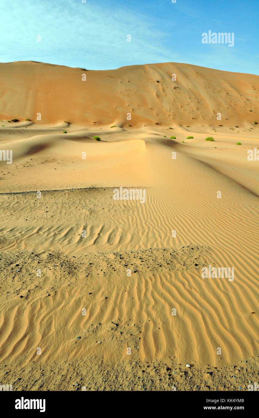 Wind-formed patterns in this collection of sand in the Arabian Desert ...
