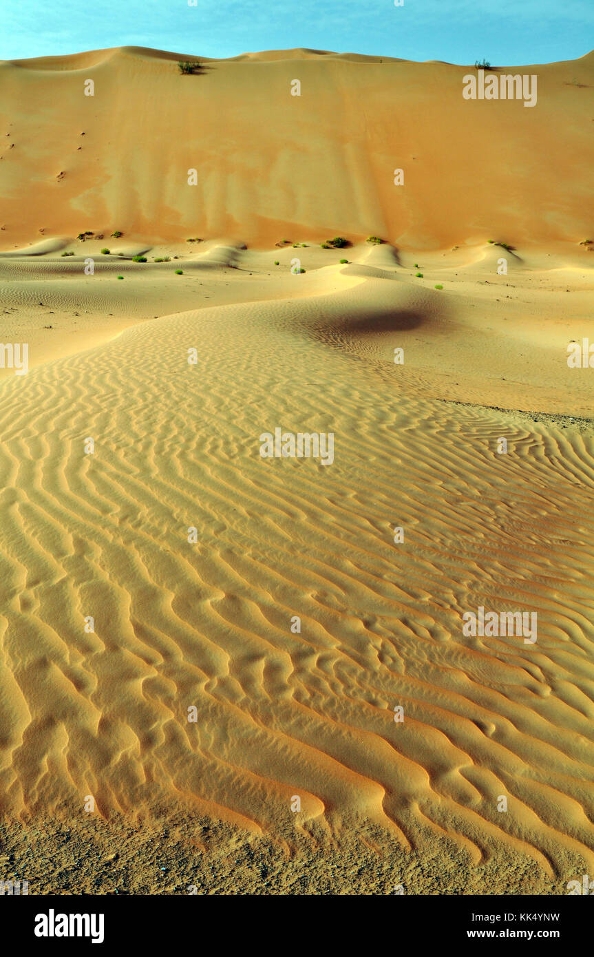 Wind-formed patterns in this collection of sand in the Arabian Desert ...