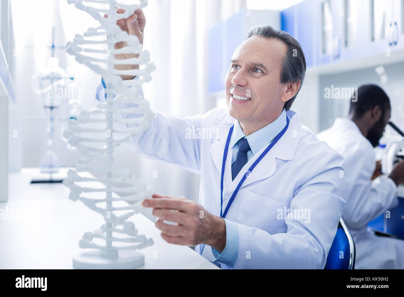 Cheerful male geneticist looking at the DNA model Stock Photo - Alamy