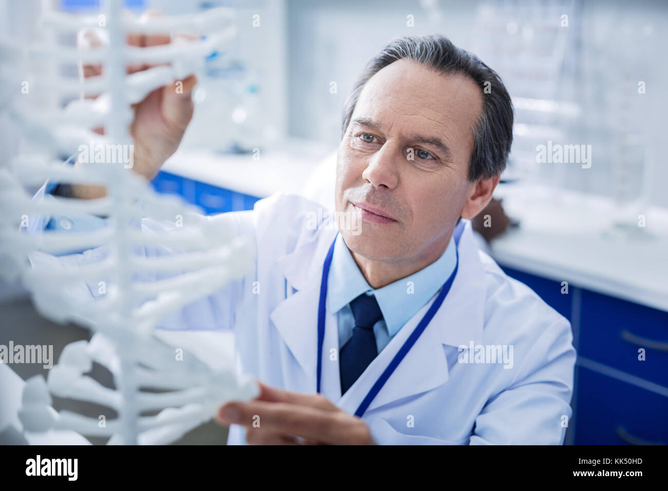 Serious intelligent man looking at the gene model Stock Photo - Alamy