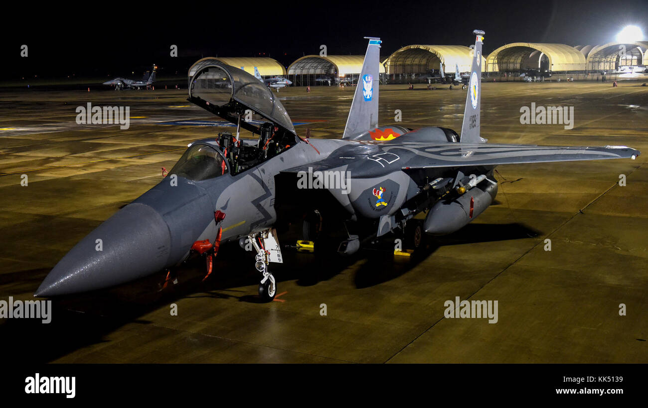 A 4th Fighter Wing F-15E Strike Eagle heritage paint scheme aircraft ...
