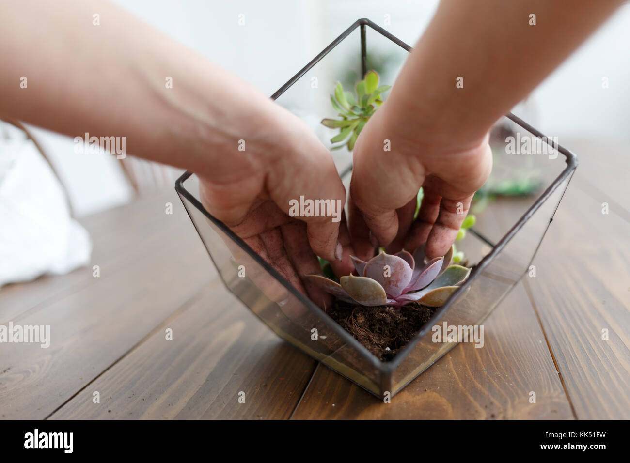Master class hi-res stock photography and images - Alamy