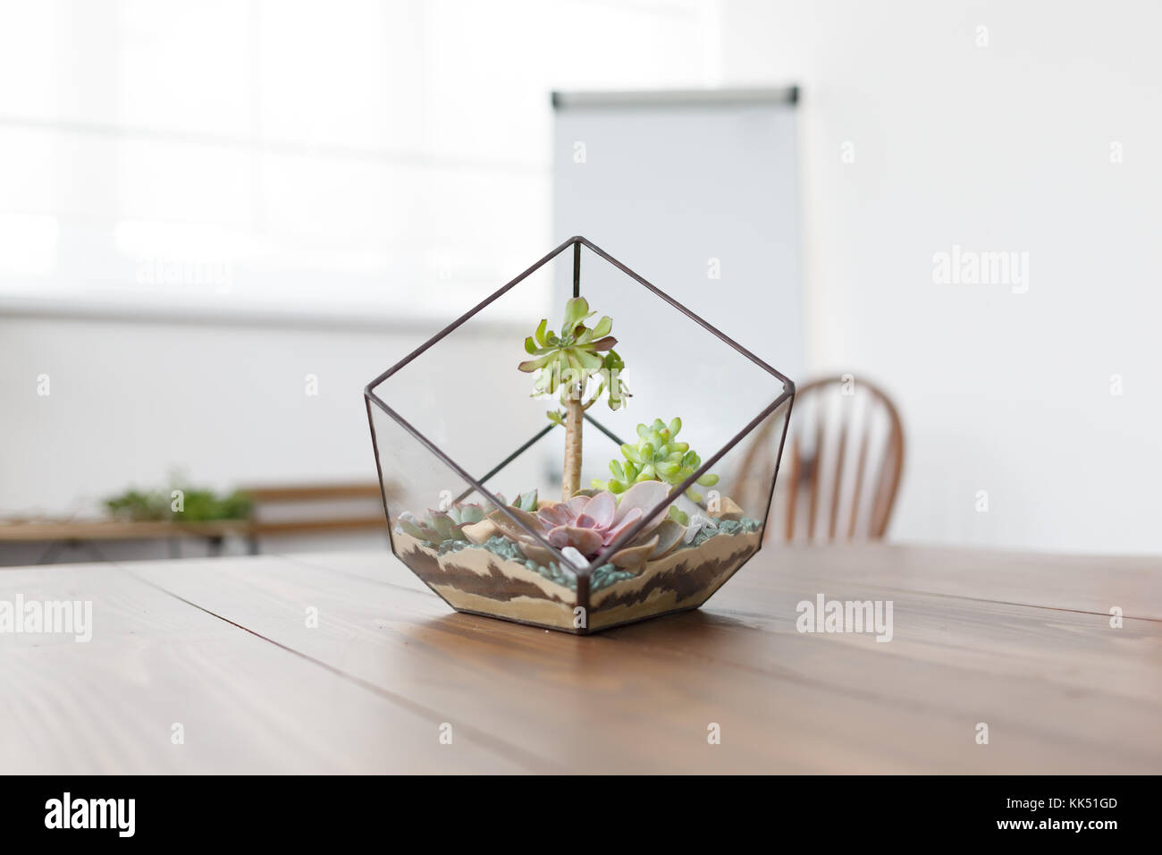 Photo of florarium with stones succulents Stock Photo - Alamy