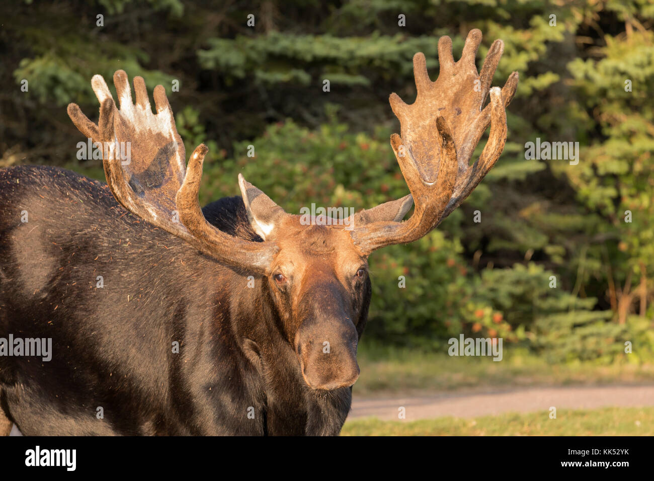 Michigan Moose Bowling Tournament 2011