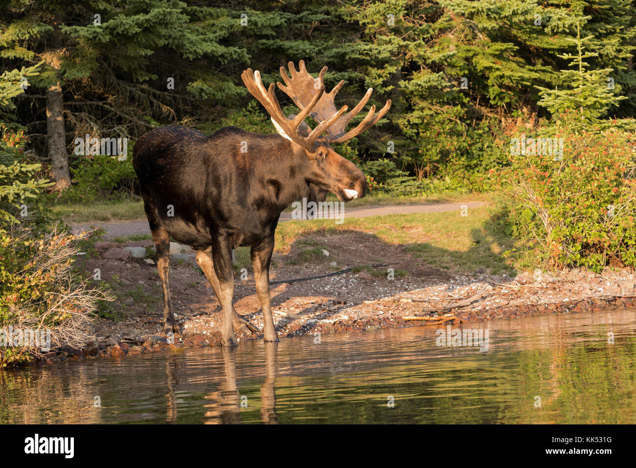 Michigan Moose Bowling Tournament 2011