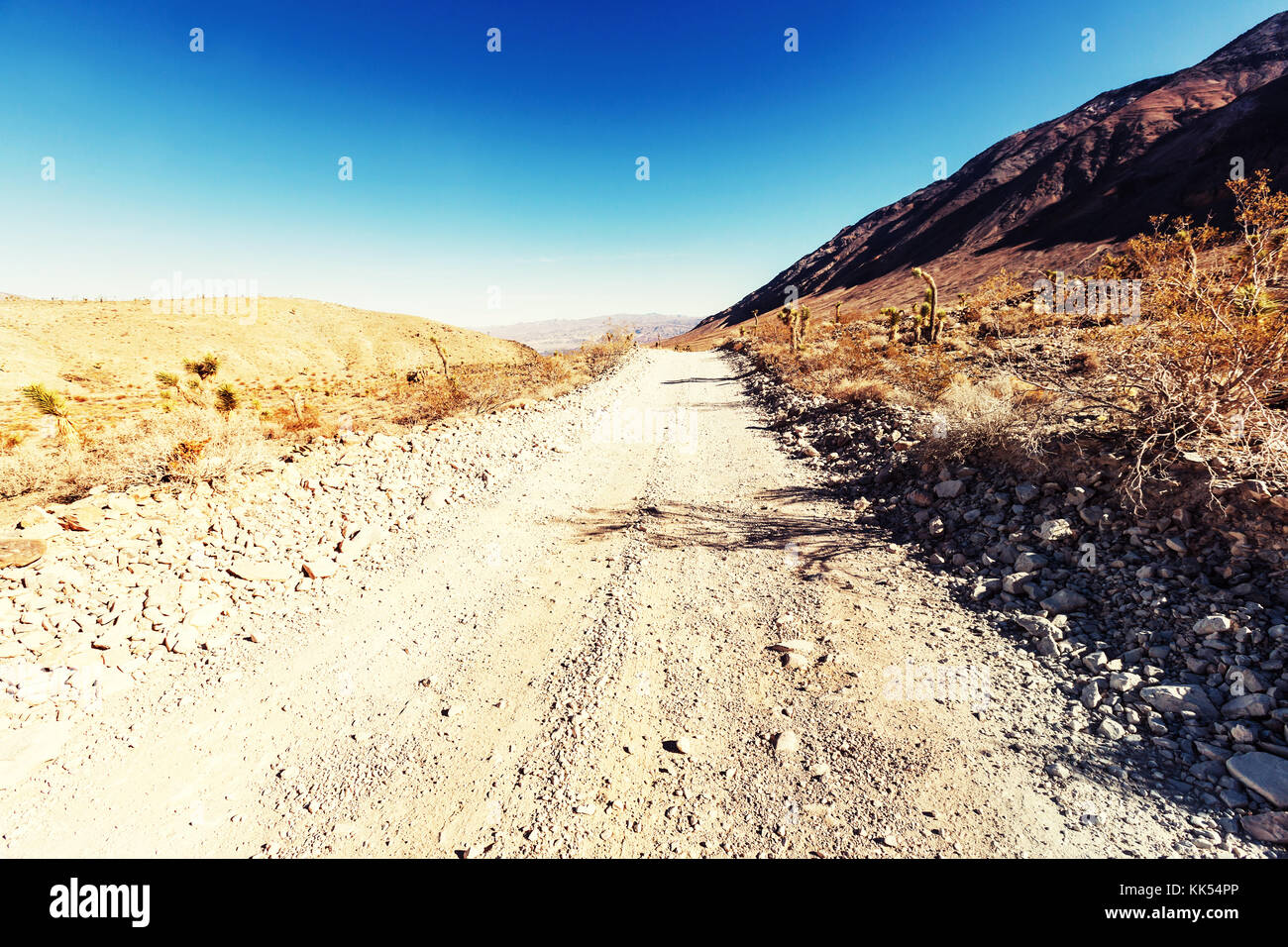 Road in the prairie country Stock Photo - Alamy